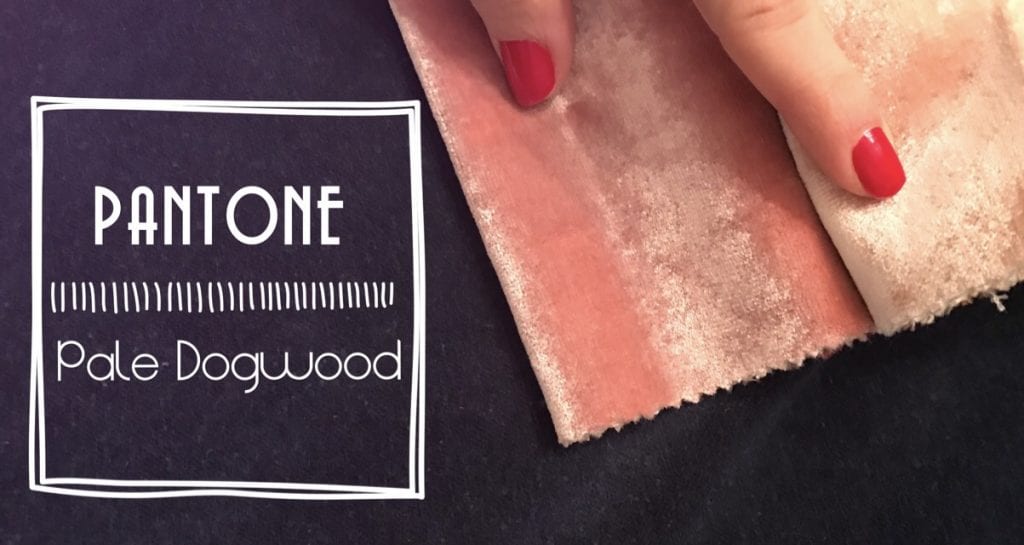 DECORACIÓN CON COLOR - ROSA PALO